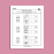 Two-Letter Sound Activity Packet (20 pages of reading, writinge)