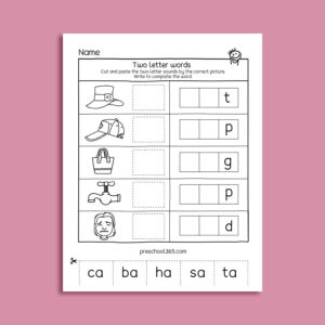 Two-Letter Sound Activity Packet (20 pages of reading, writinge)