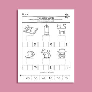 Two-Letter Sound Activity Packet (20 pages of reading, writinge)