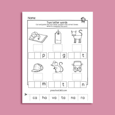 Two-Letter Sound Activity Packet (20 pages of reading, writinge)