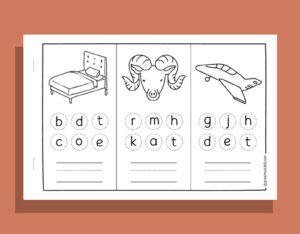 My 3-letter Word Book (Beginning, Middle & Ending Sounds + CVC)