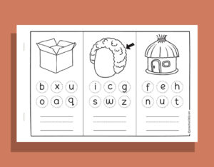 My 3-letter Word Book (Beginning, Middle & Ending Sounds + CVC)