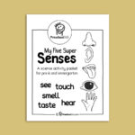 My Five Senses Kindergarten Activity Printables