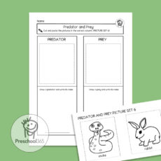 Animals: A science activity packet for 5-7year olds