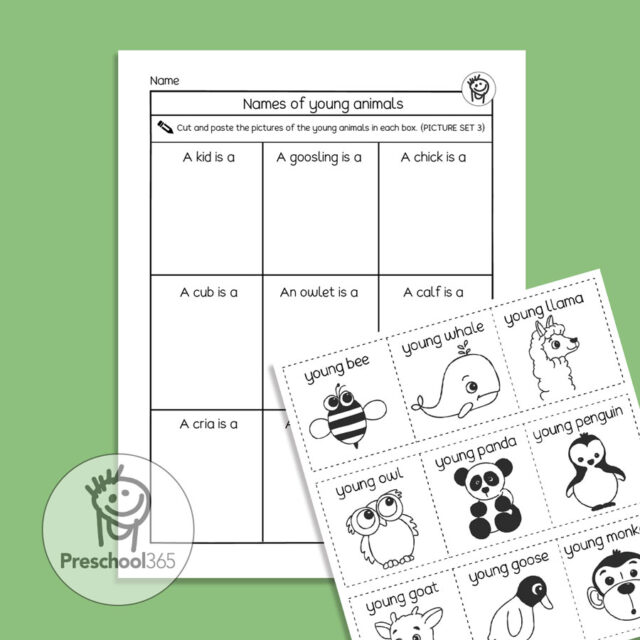 Animals: A science activity packet for 5-7year olds