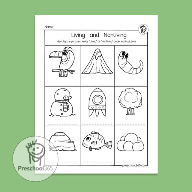 Animals: A science activity packet for 5-7year olds