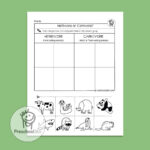 Animals: A science activity packet for 5-7year olds