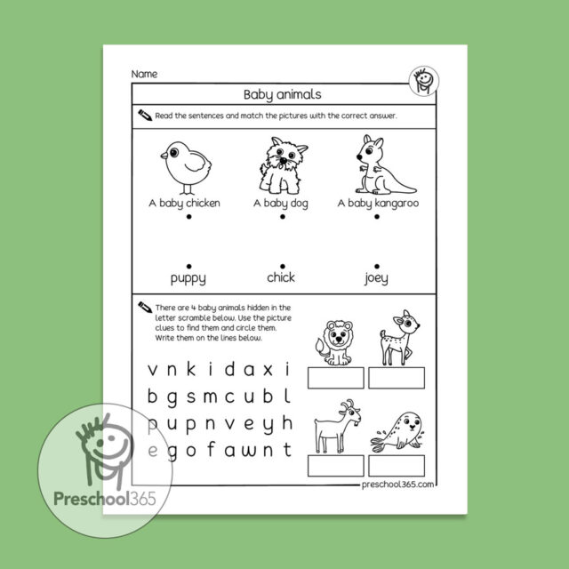 Animals: A science activity packet for 5-7year olds