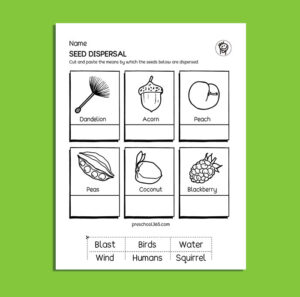Green Plant - My Science Activity Packet (22pages) for 5-8year olds