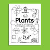 Green Plant - My Science Activity Packet (22pages) for 5-8year olds