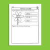 Green Plant - My Science Activity Packet (22pages) for 5-8year olds