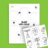 Green Plant - My Science Activity Packet (22pages) for 5-8year olds
