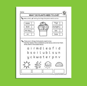 Green Plant - My Science Activity Packet (22pages) for 5-8year olds