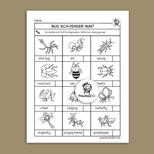 I See A Bug Science Activity Packet (14pages). Great packet for insects.