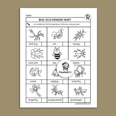 I See A Bug Science Activity Packet (14pages). Great packet for insects.