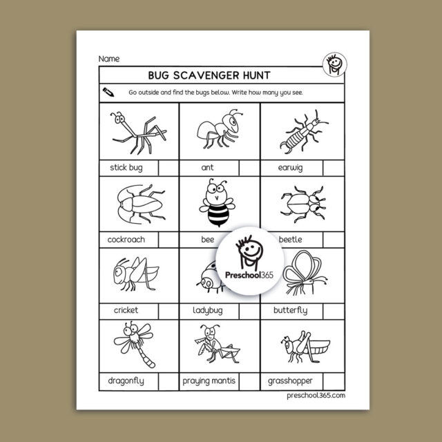 I See A Bug Science Activity Packet (14pages). Great packet for insects.