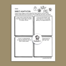 I See A Bug Science Activity Packet (14pages). Great packet for insects.