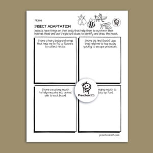I See A Bug Science Activity Packet (14pages). Great packet for insects.