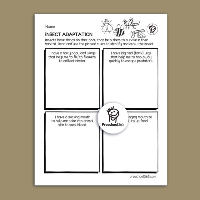 I See A Bug Science Activity Packet (14pages). Great packet for insects.