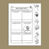 I See A Bug Science Activity Packet (14pages). Great packet for insects.