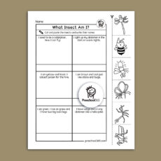 I See A Bug Science Activity Packet (14pages). Great packet for insects.