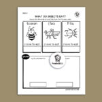 I See A Bug Science Activity Packet (14pages). Great packet for insects.