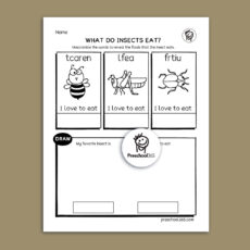 I See A Bug Science Activity Packet (14pages). Great packet for insects.