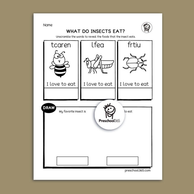 I See A Bug Science Activity Packet (14pages). Great packet for insects.