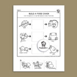 I See A Bug Science Activity Packet (14pages). Great packet for insects.
