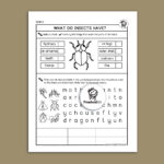 I See A Bug Science Activity Packet (14pages). Great packet for insects.