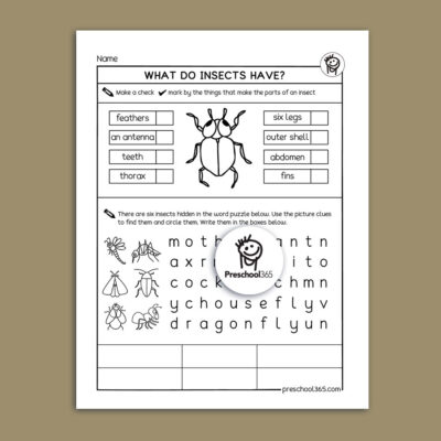 I See A Bug Science Activity Packet (14pages). Great packet for insects.