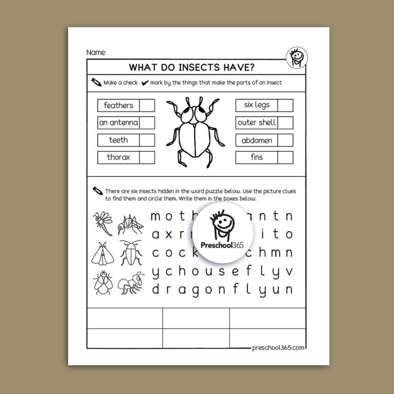 I See A Bug Science Activity Packet (14pages). Great packet for insects.