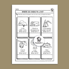 I See A Bug Science Activity Packet (14pages). Great packet for insects.