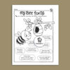 I See A Bug Science Activity Packet (14pages). Great packet for insects.