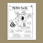 I See A Bug Science Activity Packet (14pages). Great packet for insects.