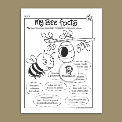 I See A Bug Science Activity Packet (14pages). Great packet for insects.