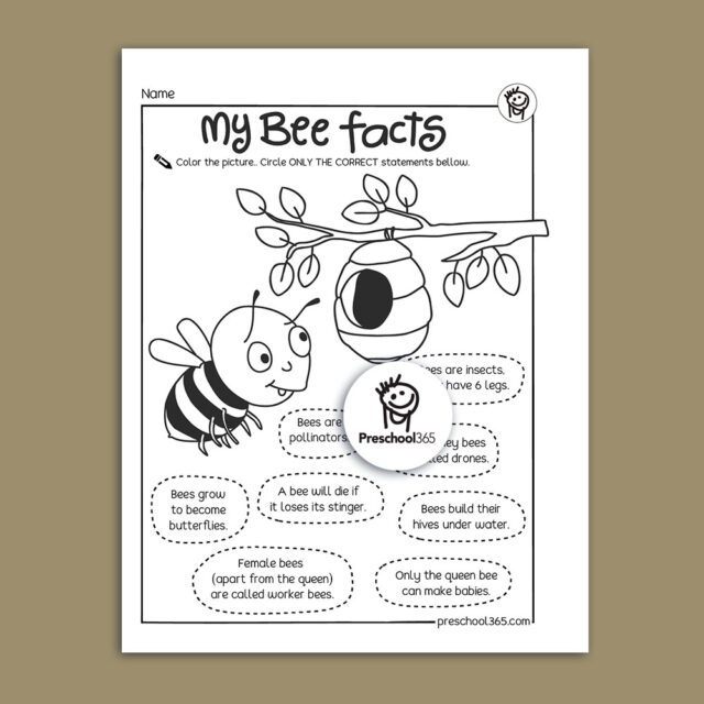 I See A Bug Science Activity Packet (14pages). Great packet for insects.