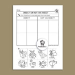 I See A Bug Science Activity Packet (14pages). Great packet for insects.