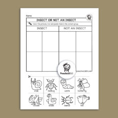 I See A Bug Science Activity Packet (14pages). Great packet for insects.