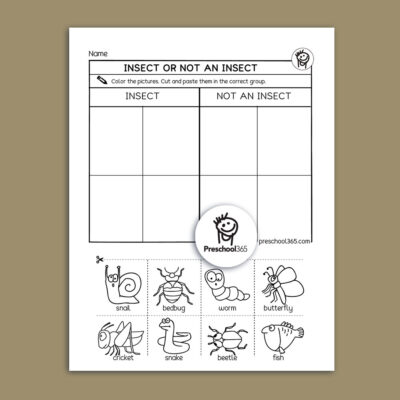I See A Bug Science Activity Packet (14pages). Great packet for insects.