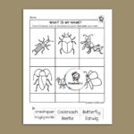 I See A Bug Science Activity Packet (14pages). Great packet for insects.