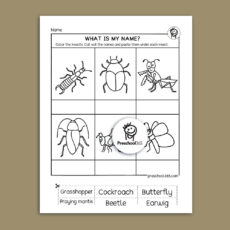 I See A Bug Science Activity Packet (14pages). Great packet for insects.
