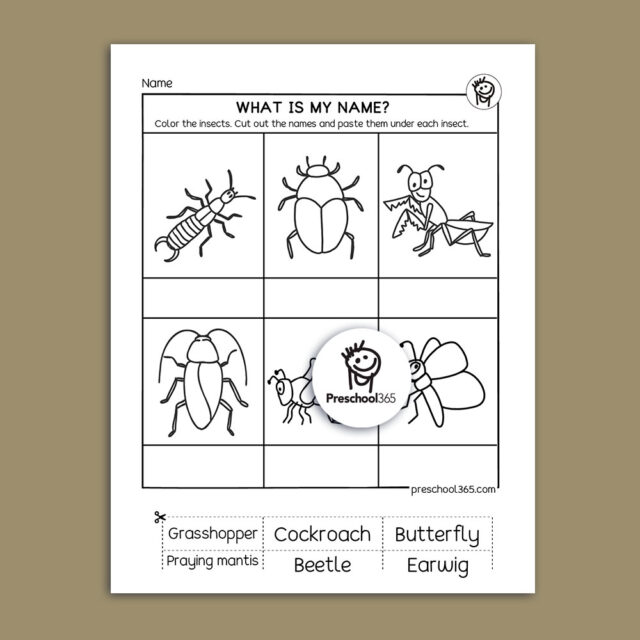 I See A Bug Science Activity Packet (14pages). Great packet for insects.