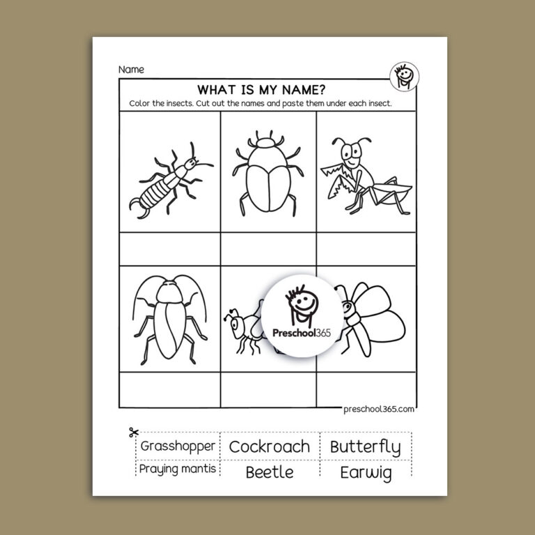 I See A Bug Science Activity Packet (14pages). Great packet for insects.