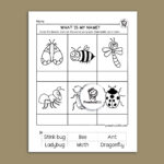 I See A Bug Science Activity Packet (14pages). Great packet for insects.