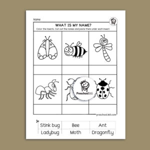 I See A Bug Science Activity Packet (14pages). Great packet for insects.