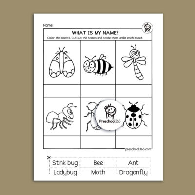 I See A Bug Science Activity Packet (14pages). Great packet for insects.
