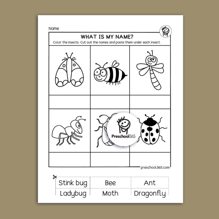 I See A Bug Science Activity Packet (14pages). Great packet for insects.