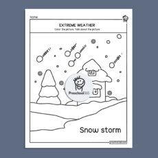The Weather Science Activity Packet (23pages)