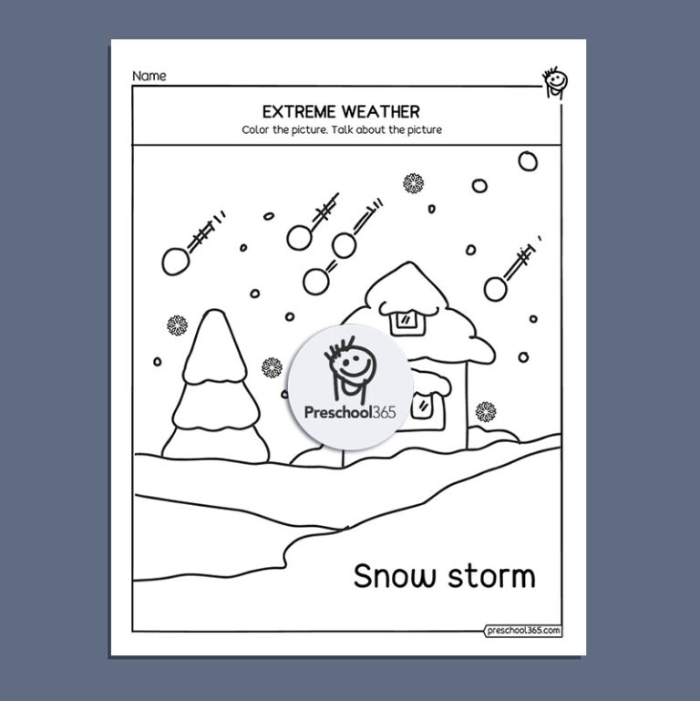 The Weather Science Activity Packet (23pages)